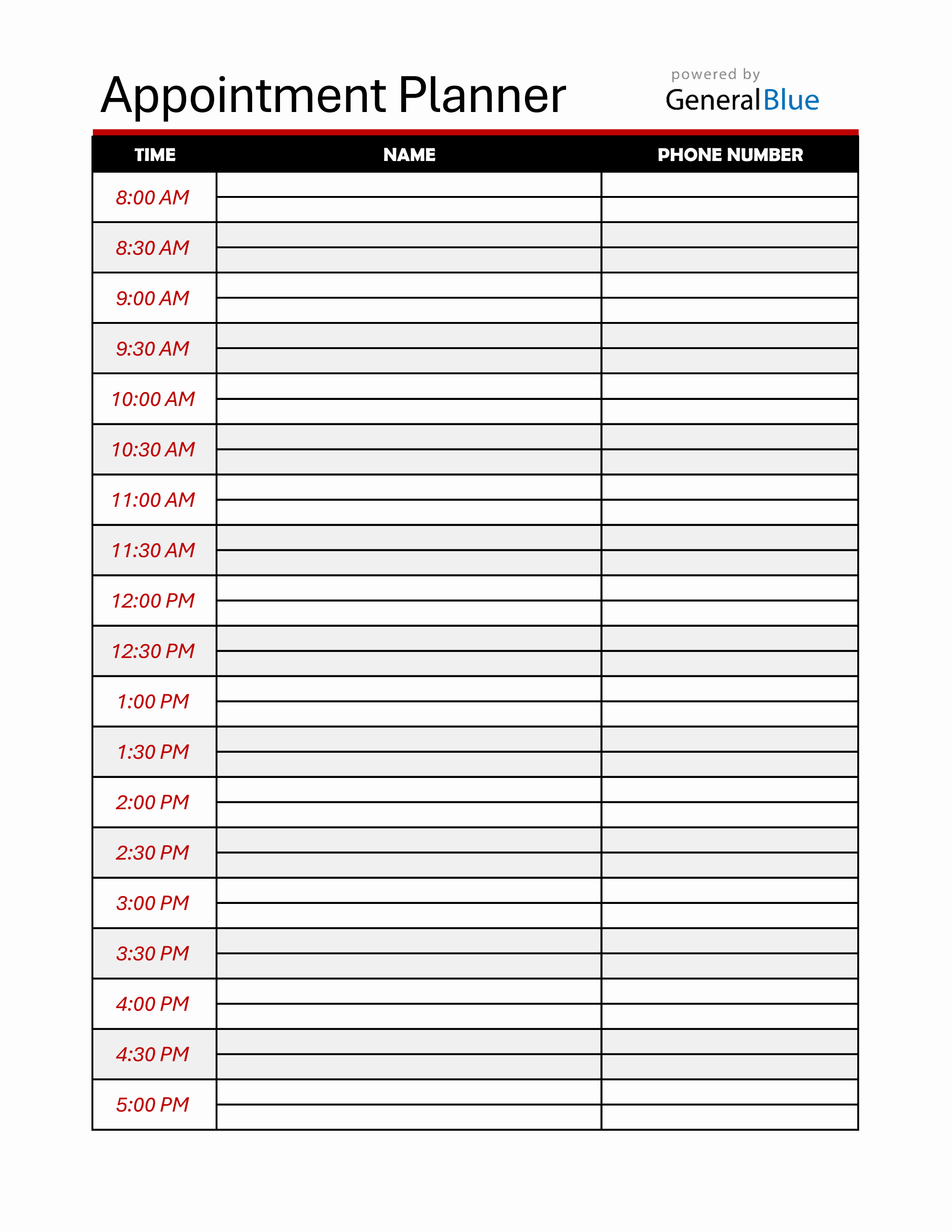 Fillable Appointment Planner (30-Minute Interval) in Excel