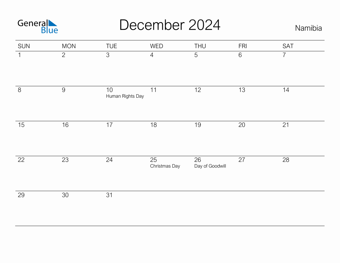 Printable December 2024 Monthly Calendar with Holidays for Namibia