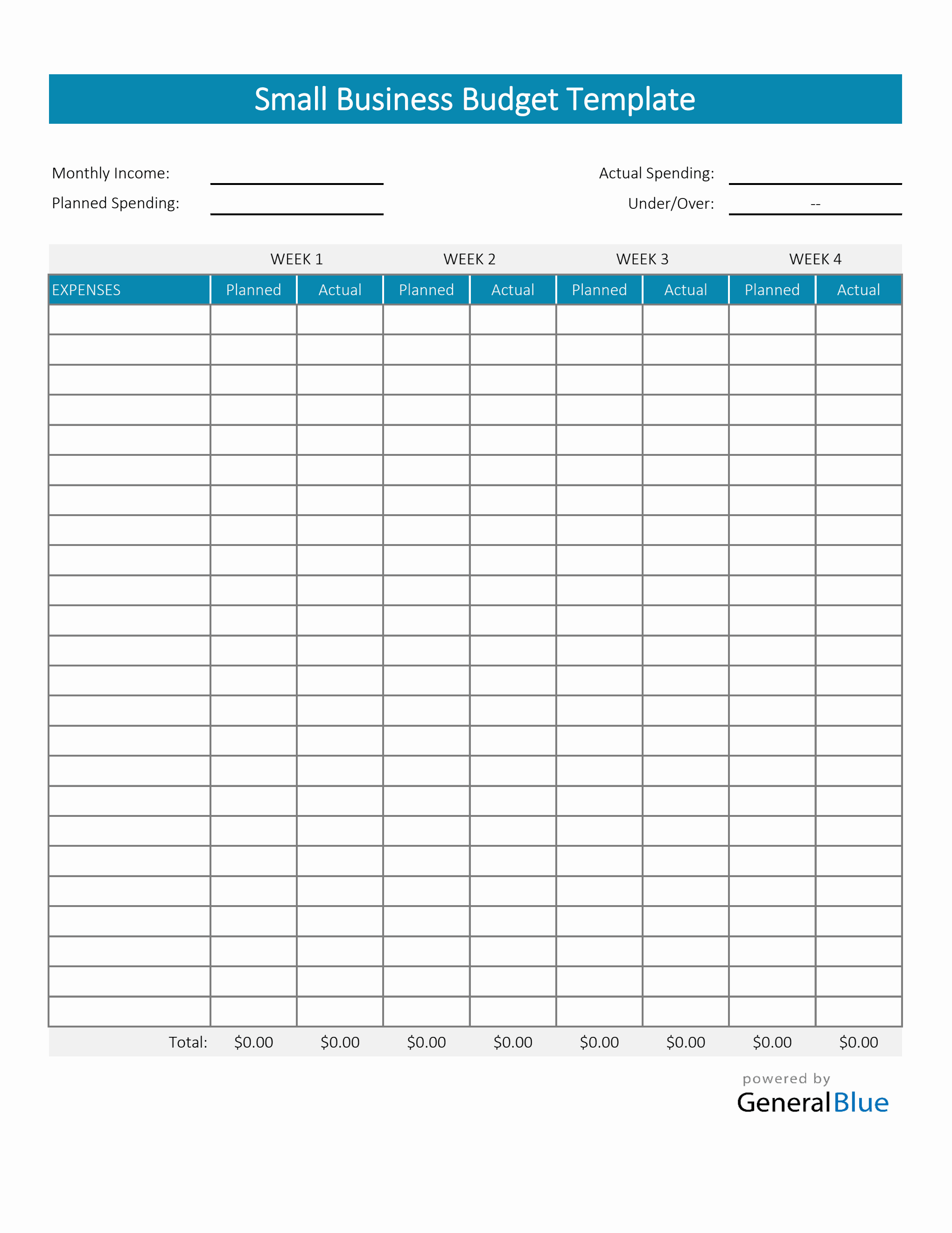 Small Business Budget Template in Excel (Colorful)