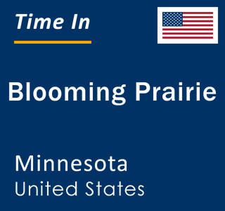 Current Local Time in Blooming Prairie, Minnesota, United States