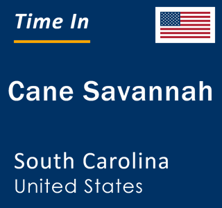 Current Weather Forecast | Cane Savannah, South Carolina, United States