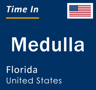 Current Local Time in Medulla, Florida, United States