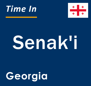Current Local Time in Senak'i, Georgia