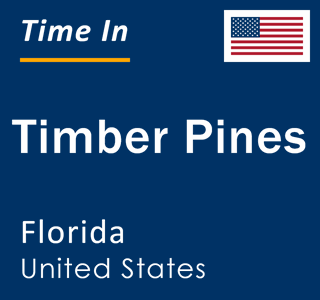 Current Local Time in Timber Pines, Florida, United States