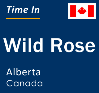 Current Local Time in Wild Rose, Alberta, Canada